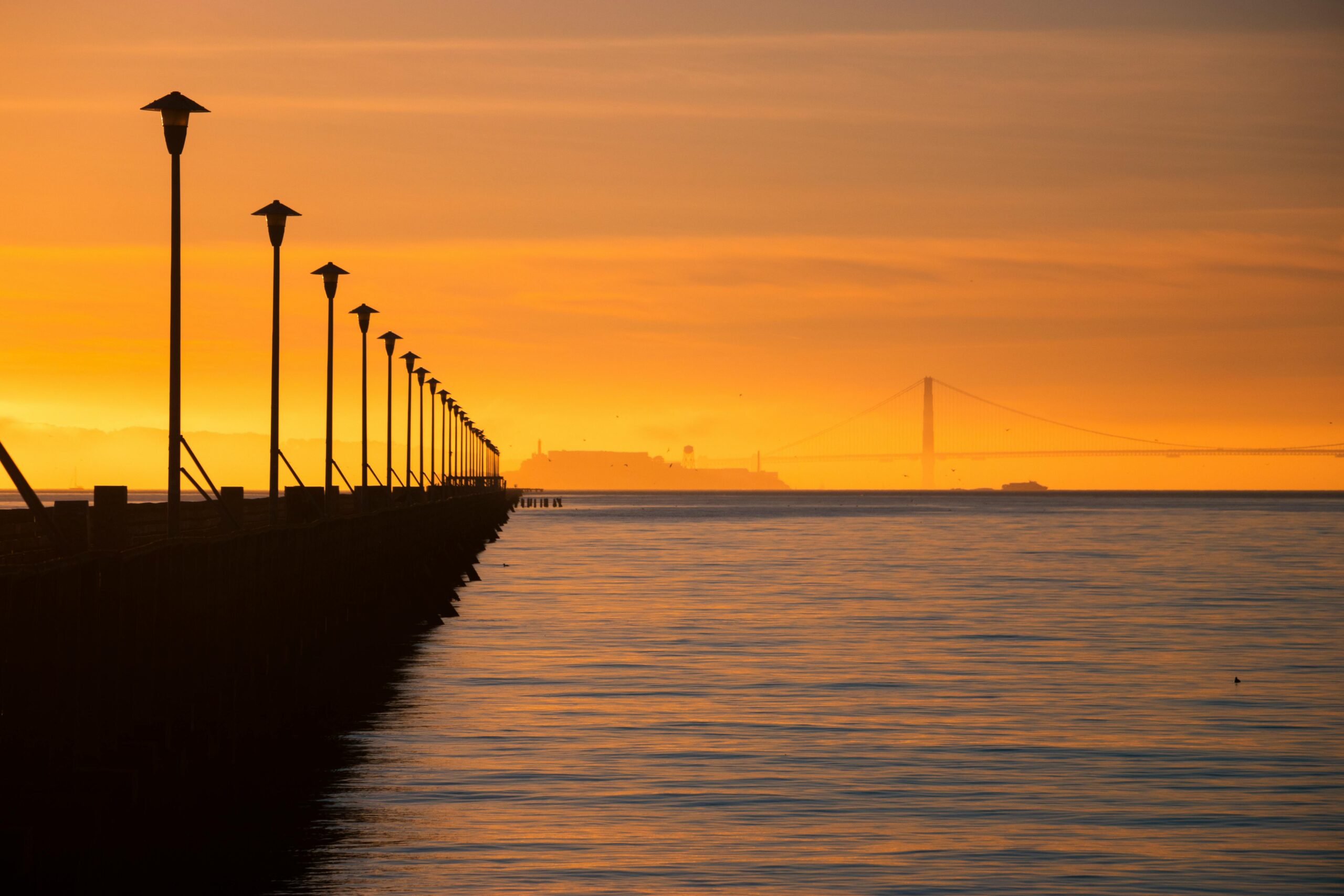 Exploring Berkeley in 2024: A Comprehensive Travel Guide from San ...